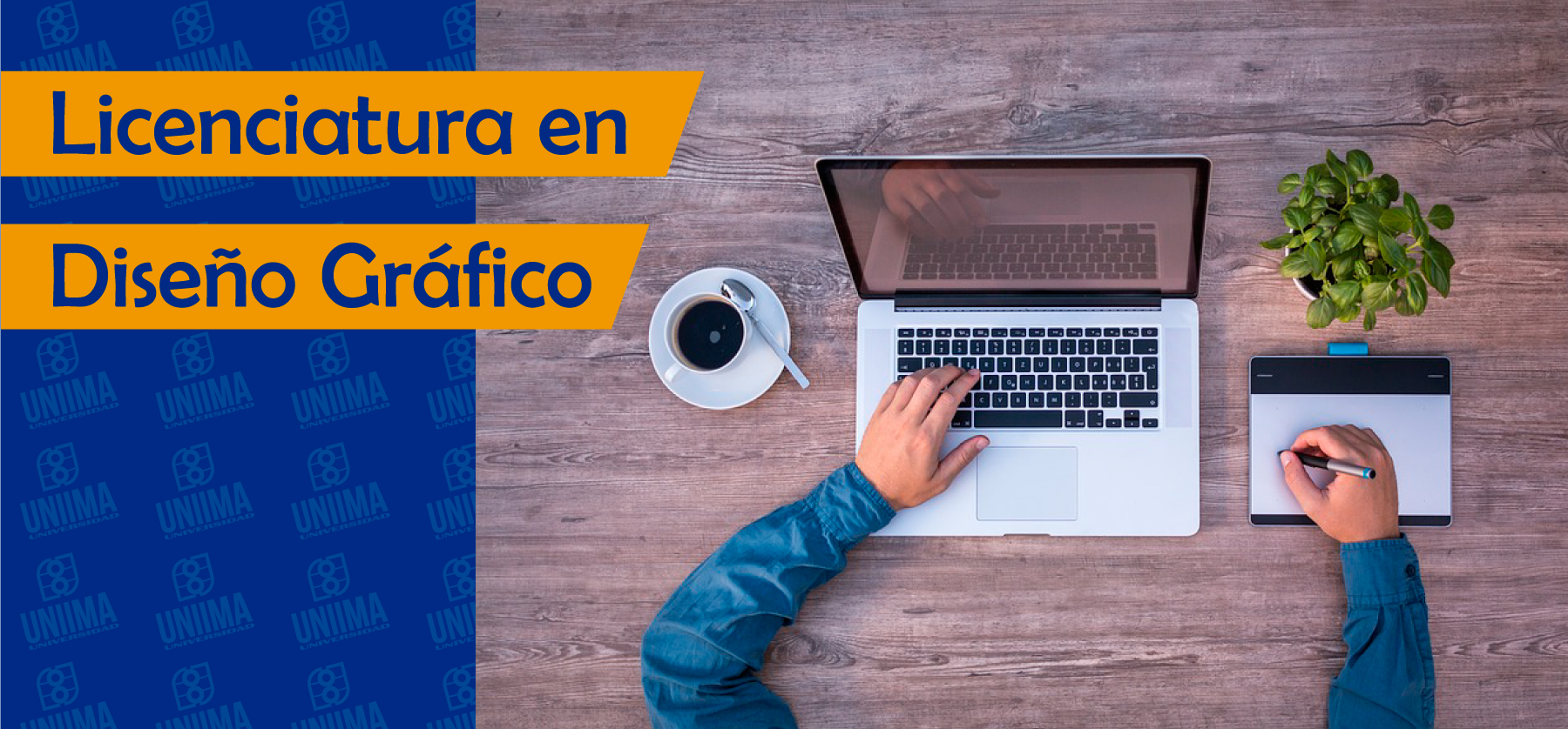 Licenciatura en Diseño Gráfico – Instituto Universitario UNIIMA